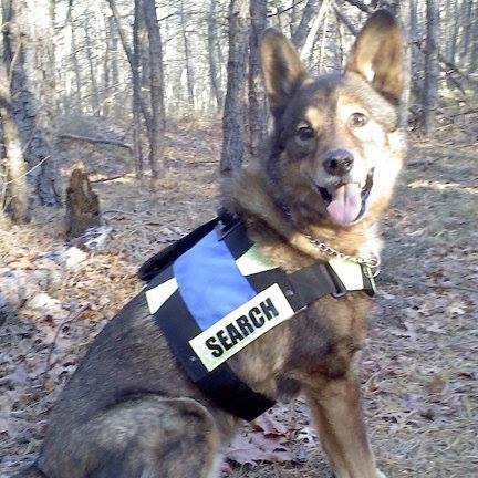 K9 Woody -New York State - Memorials to Fallen K-9's