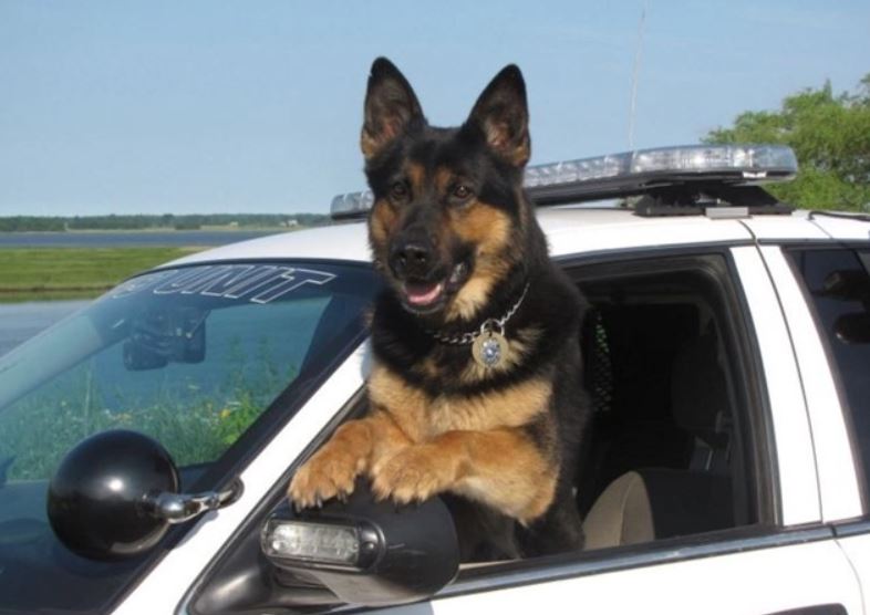 K9 Zeus - Old Saybrook, Connecticut - Memorials to Fallen K-9's
