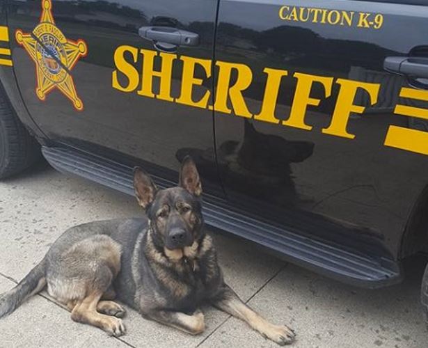 K9 Aron - Pickaway County, Ohio - Memorials to Fallen K-9's