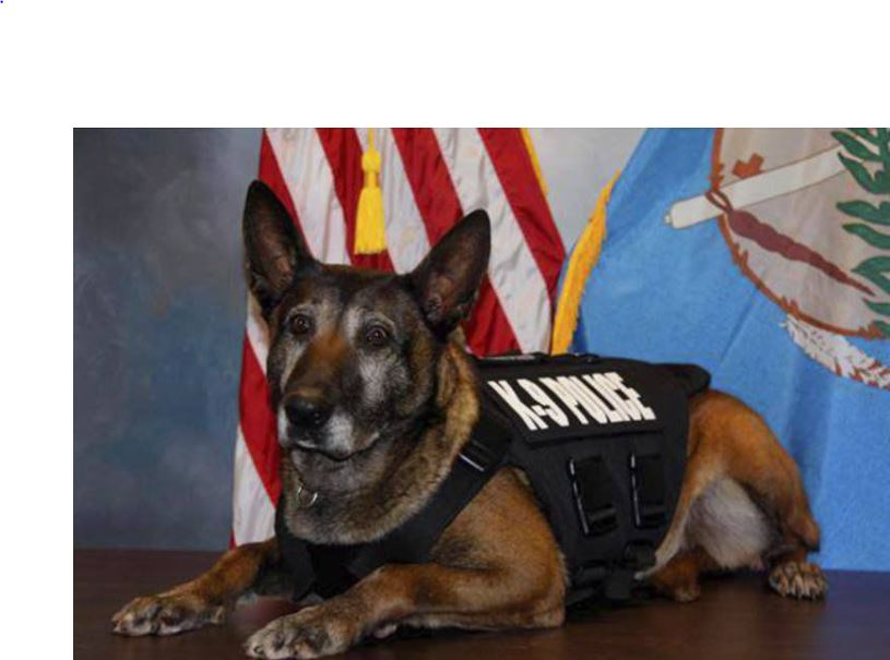 K9 Zena - Stillwater, Oklahoma - Memorials to Fallen K-9's