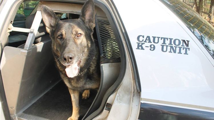 K9 Hooch - Tulsa, Oklahoma - Memorials to Fallen K-9's