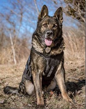K9 Kilo - Seekonk, Massachusetts - Memorials to Fallen K-9's