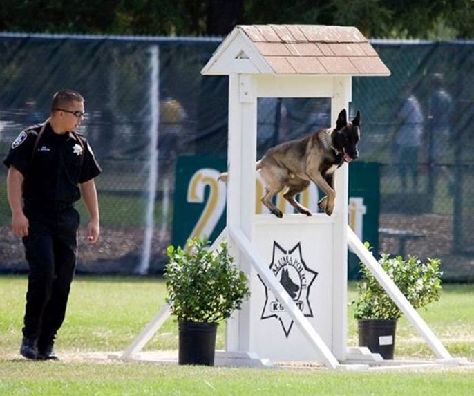 K9 Kilo - Petaluma , California - Memorials to Fallen K-9's