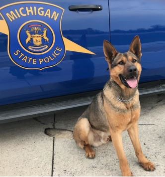 K9 Rex - Michigan State Police - Memorials to Fallen K-9's