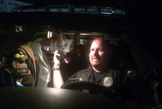 K9 Kilo – Porter, Indiana - Memorials to Fallen K-9's