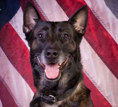 K9 Gold – Waverly, Ohio - Memorials to Fallen K-9's