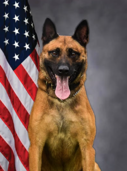 K9 Wilson - Lake Charles, Louisiana - Memorials to Fallen K-9's